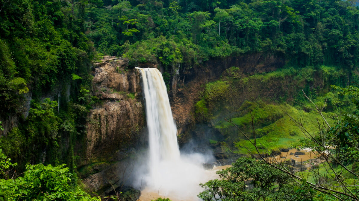 Günstige Flüge & Billigflüge nach Kamerun | Flüge.de